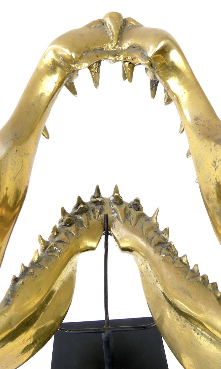 Grande mâchoire de requin mako en laiton design soclé Curiosité - OVIRY