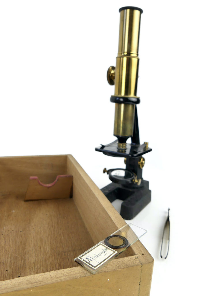 Microscope ancien en laiton et fonte dans coffret en bois - OVIRY