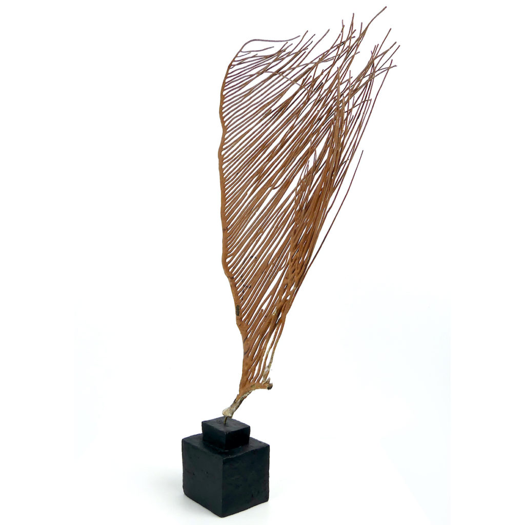 Grande gorgone lyre Ctenocella pectinata sur pied cubique OVIRY