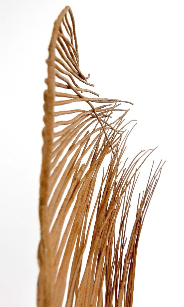 Grande gorgone lyre Ctenocella pectinata sur pied cubique OVIRY