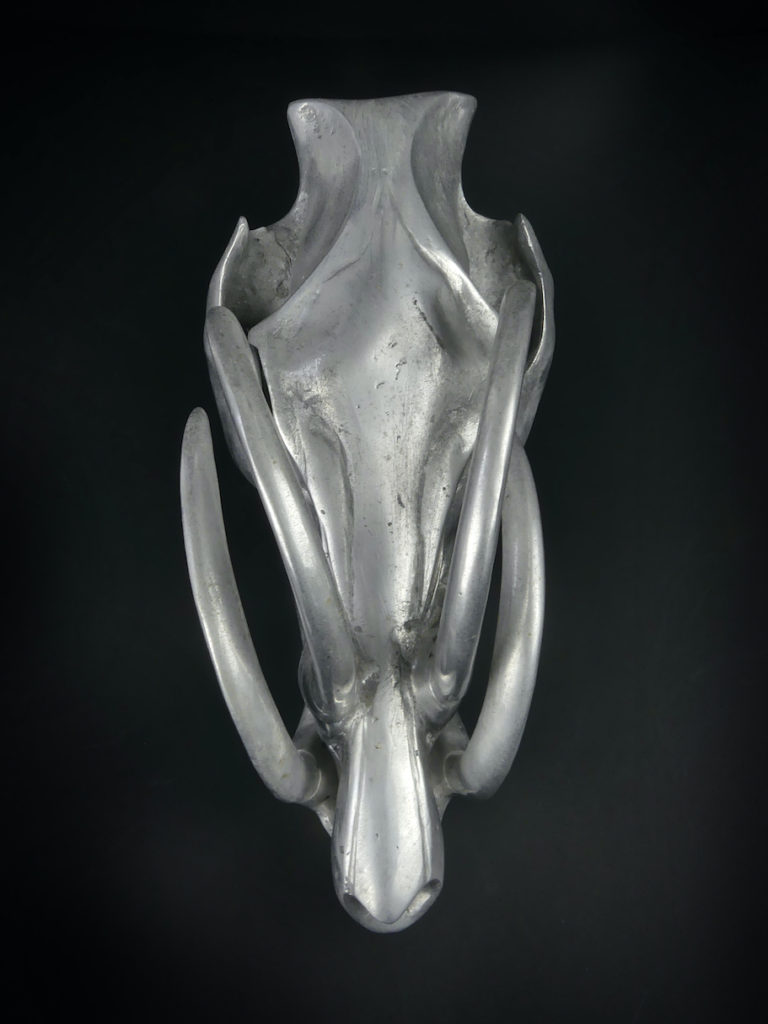 Crâne de babiroussa moulé en fonte d’aluminium - OVIRY