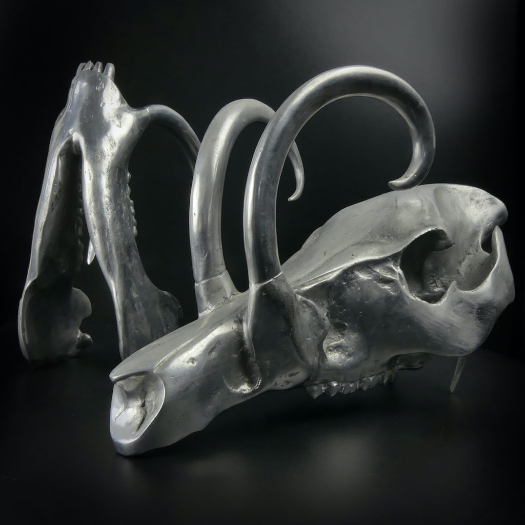Crâne de babiroussa moulé en fonte d’aluminium - OVIRY