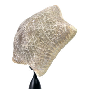 Grande Halityle regularis étoile de mer coussin sur pied - OVIRY